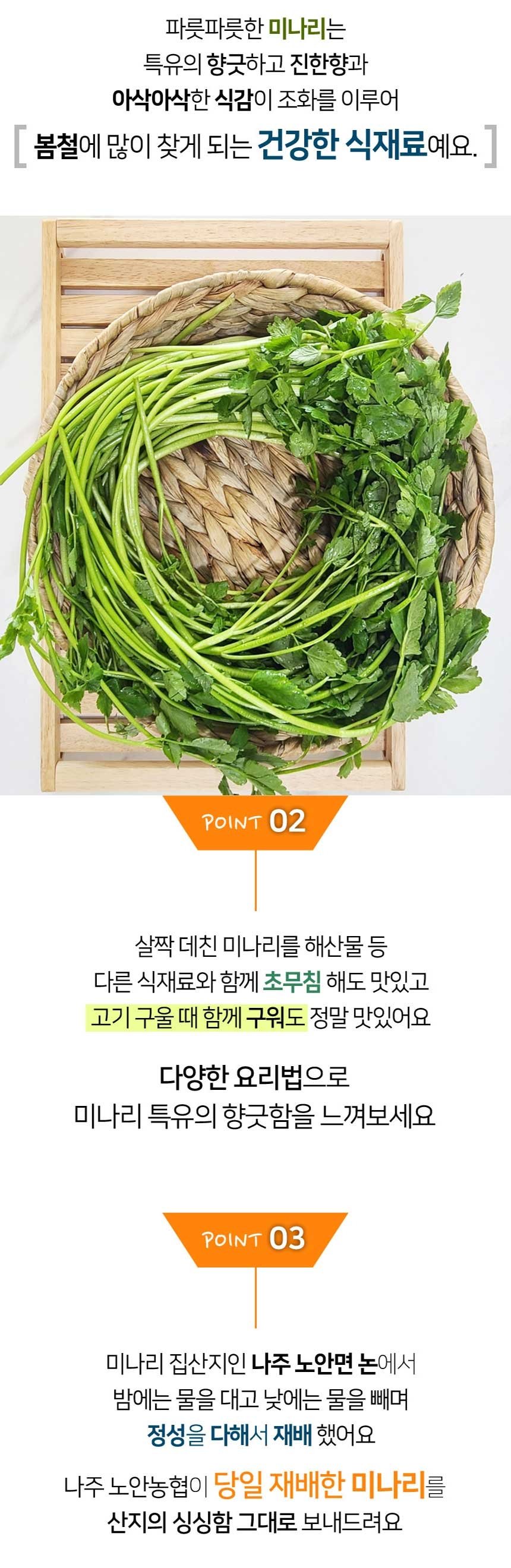 (완사천)봄향기 가득한 세척 논미나리 1kg/2kg(농협 GAP인증)(200g씩 숨쉬는 비닐팩 포장)