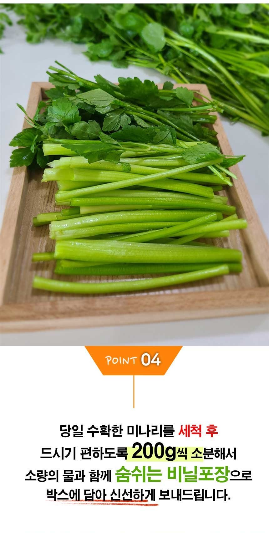 (완사천)봄향기 가득한 세척 논미나리 1kg/2kg(농협 GAP인증)(200g씩 숨쉬는 비닐팩 포장)