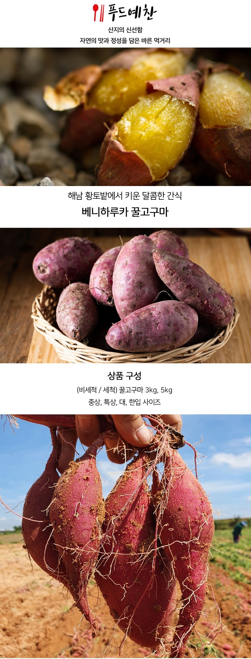 [aT농할](농할 할인)(늘솔푸드)무농약 해남 세척 고구마 3kg 5kg 10kg